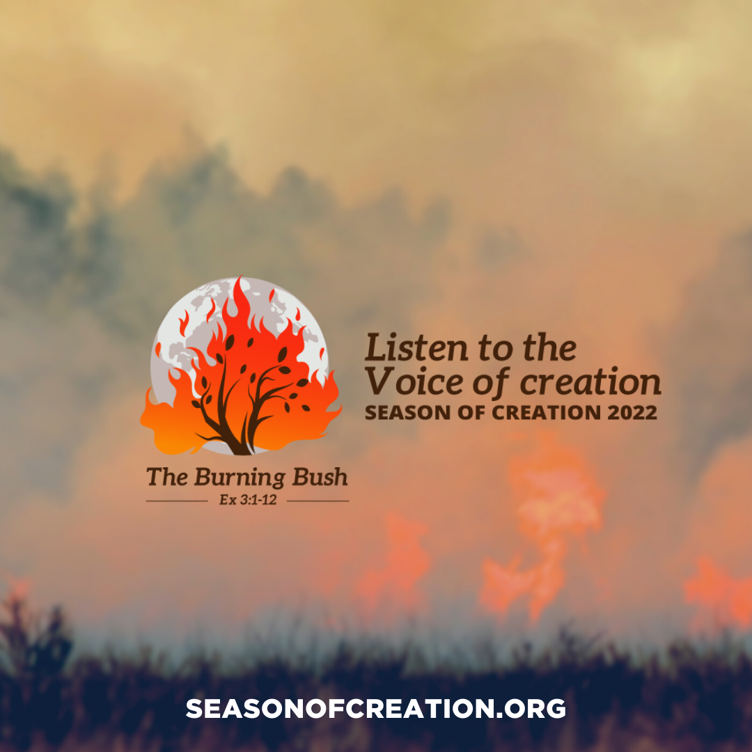 2022 Season of Creation Prayer - Columban Missionaries