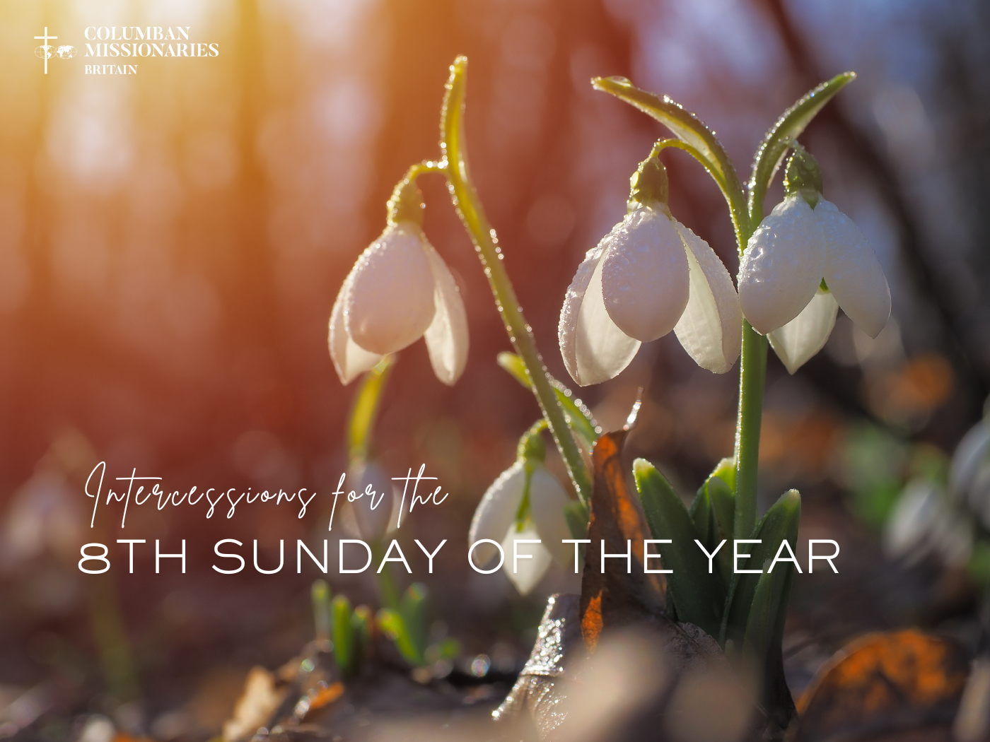 Intercessions for the 8th Sunday of the Year - Columban Missionaries