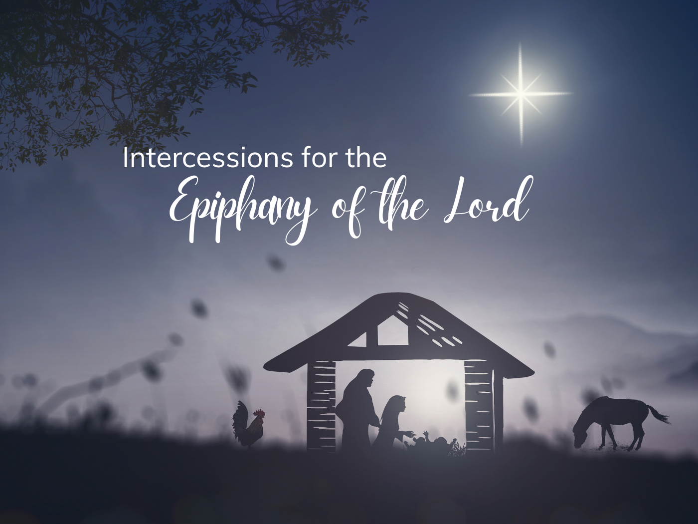 Stars that lead us to Christ! - Columban Missionaries